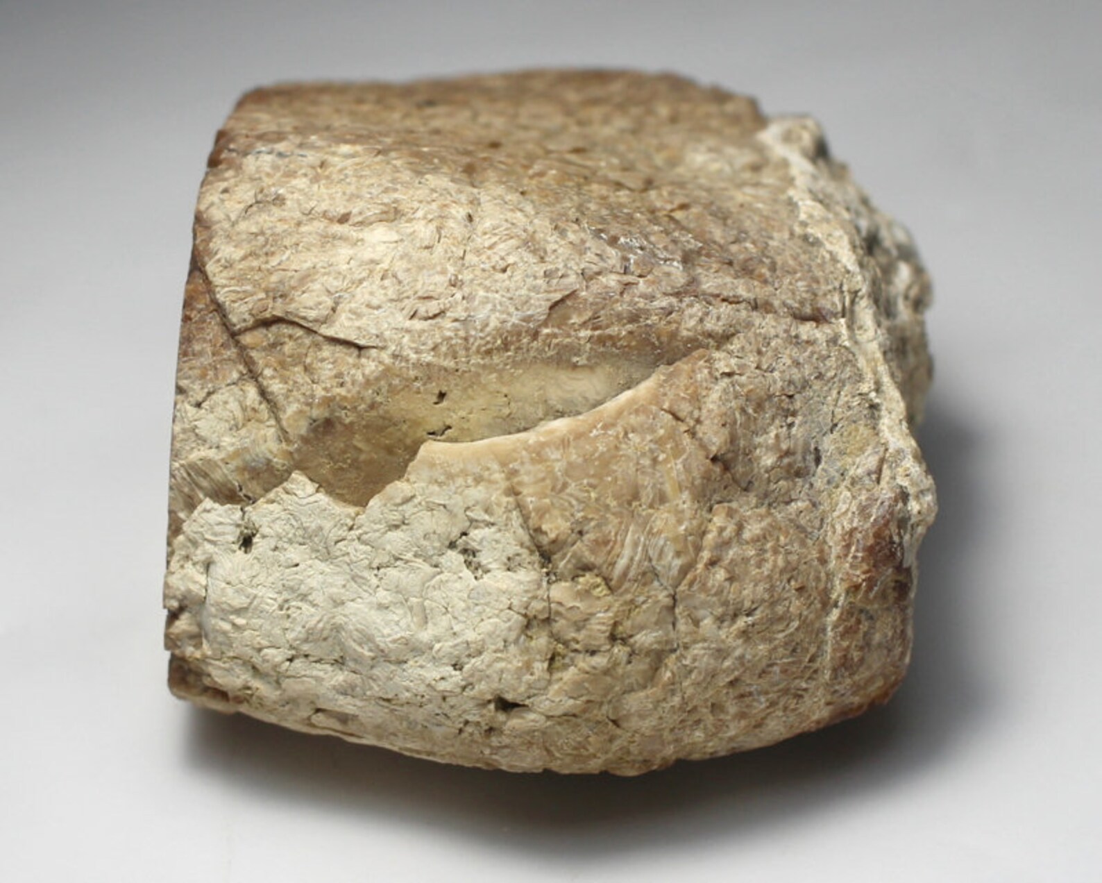 Chapenite Brecciated Jasper Geode/nodule, With One Partially Polished ...