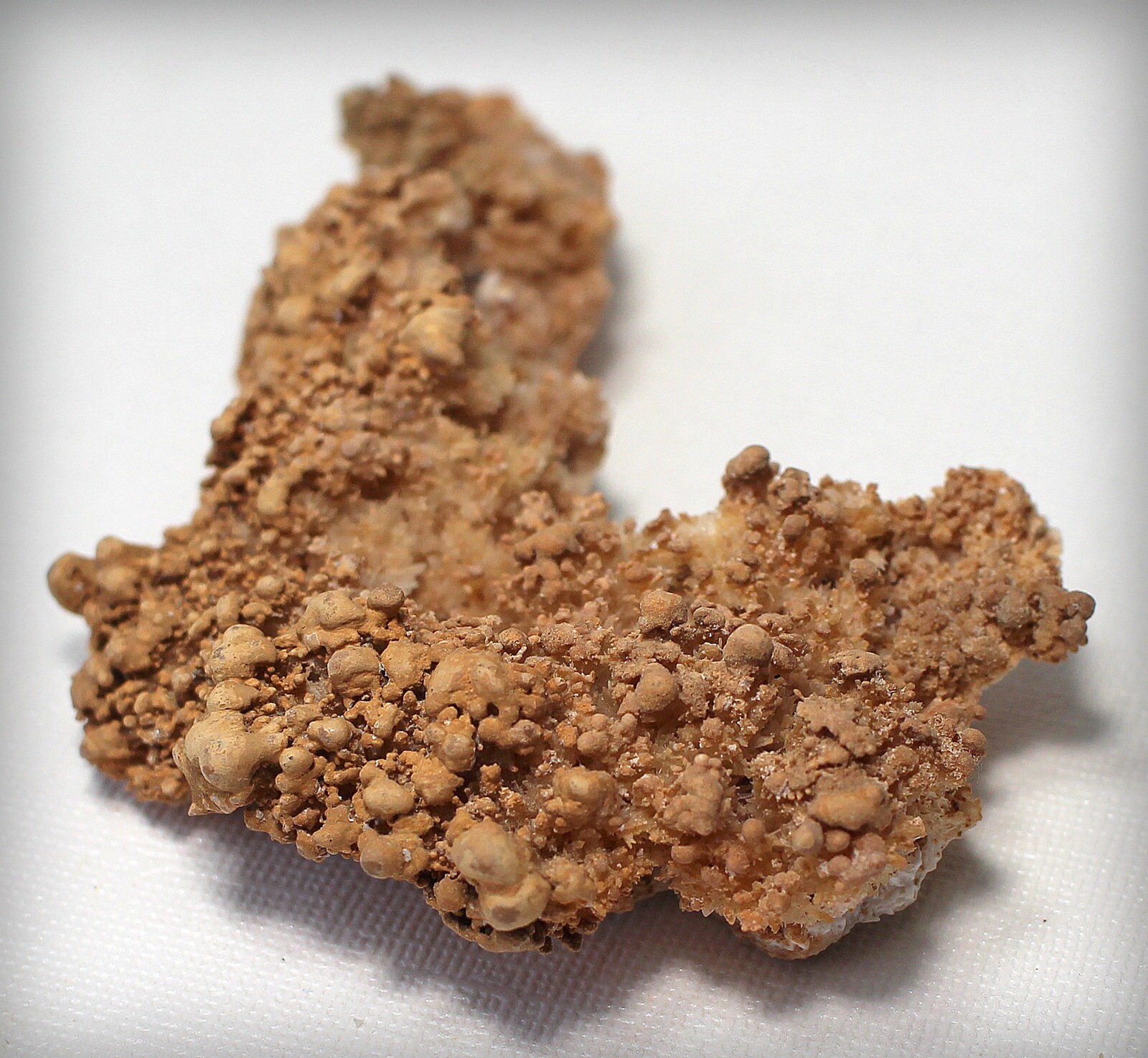 Aragonite Flos Ferri SUPERB Tan Aragonite var. Flos Ferri | Etsy