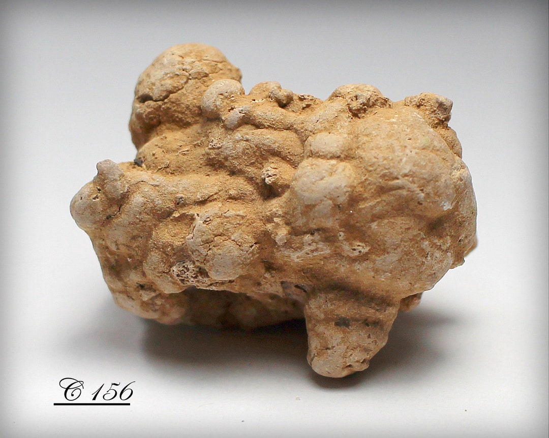 Loess Kindchen Loess Baby Concretion, From Tamms, Illinois Fairy Stone ...