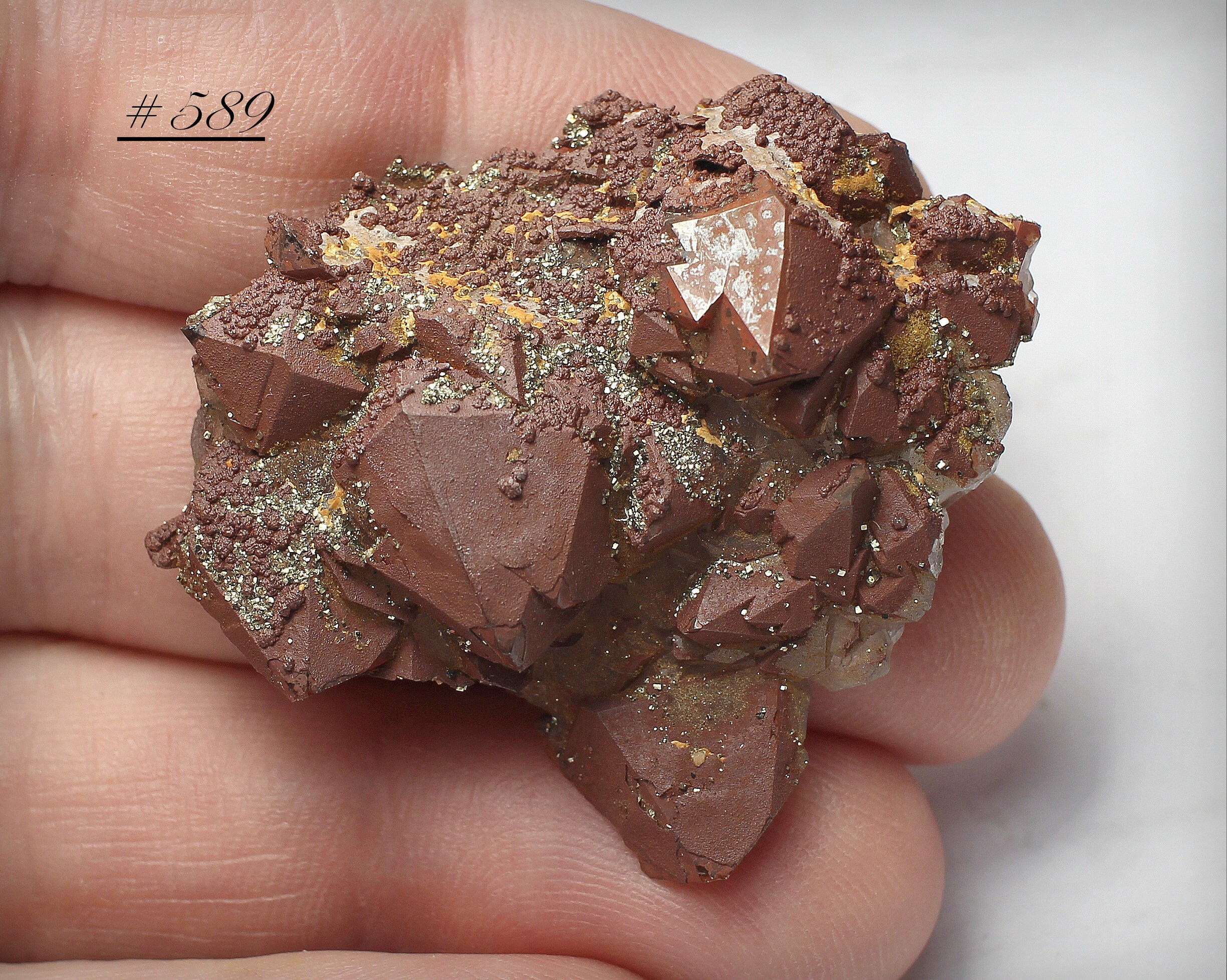 Pyrite and Botryoidal Red Hematite on Quartz Crystals A | Etsy