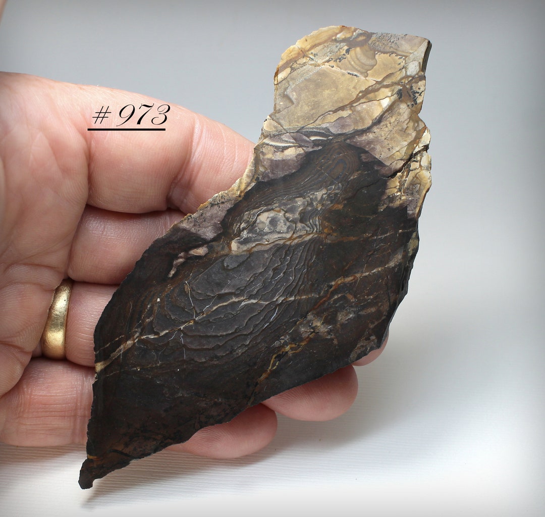 Biggs Picture Jasper One Cut Slab of Brown and Tan Picture Jasper Non ...