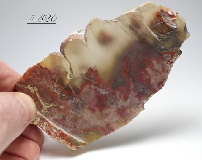 Red Agate Slice - Sawn Slice of Pretty Red Agate - Raw and Unpolished ...