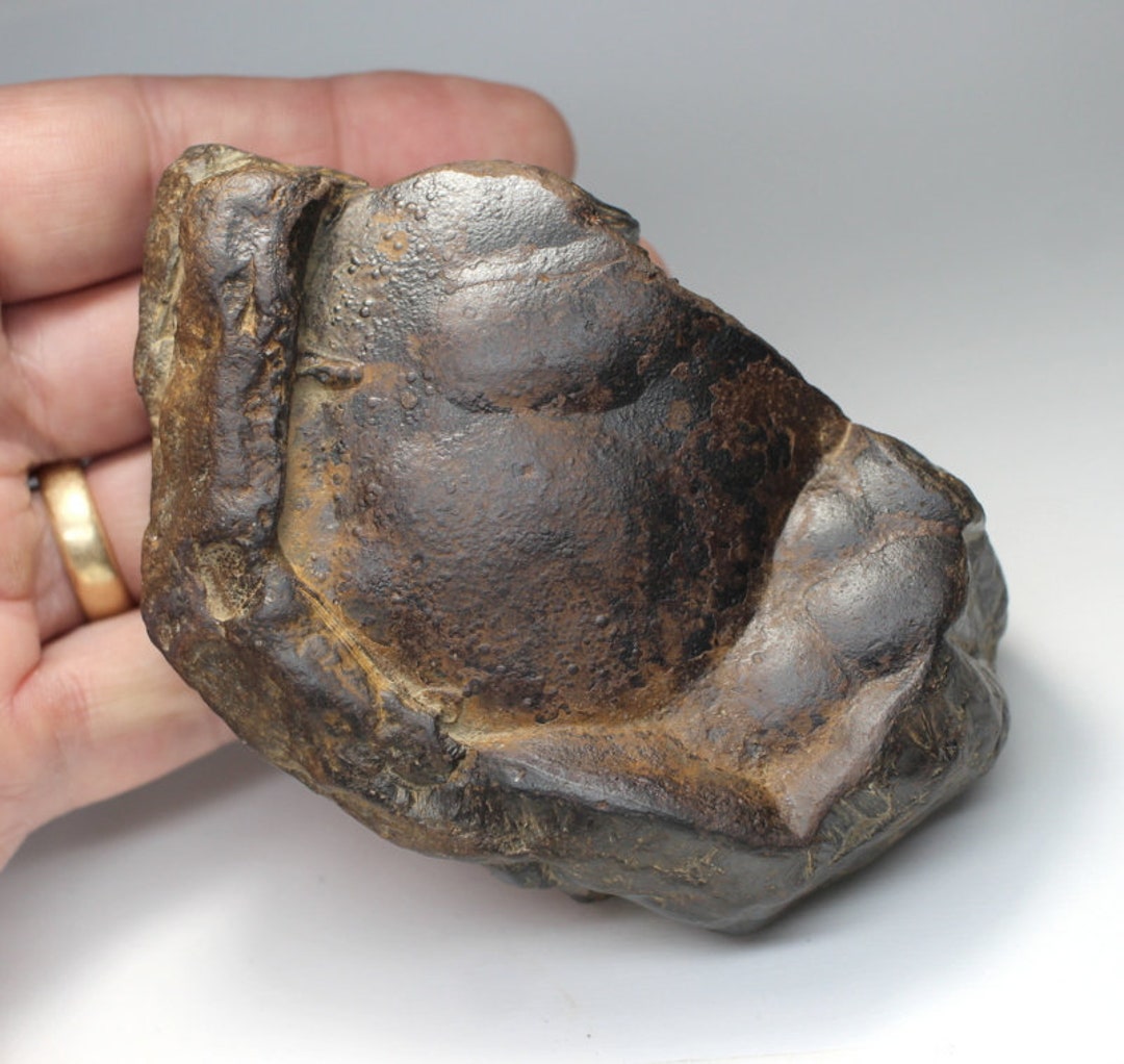 A Fabulous Large Aesthetic Hematite Mineral Specimen Botryoidal Habit ...