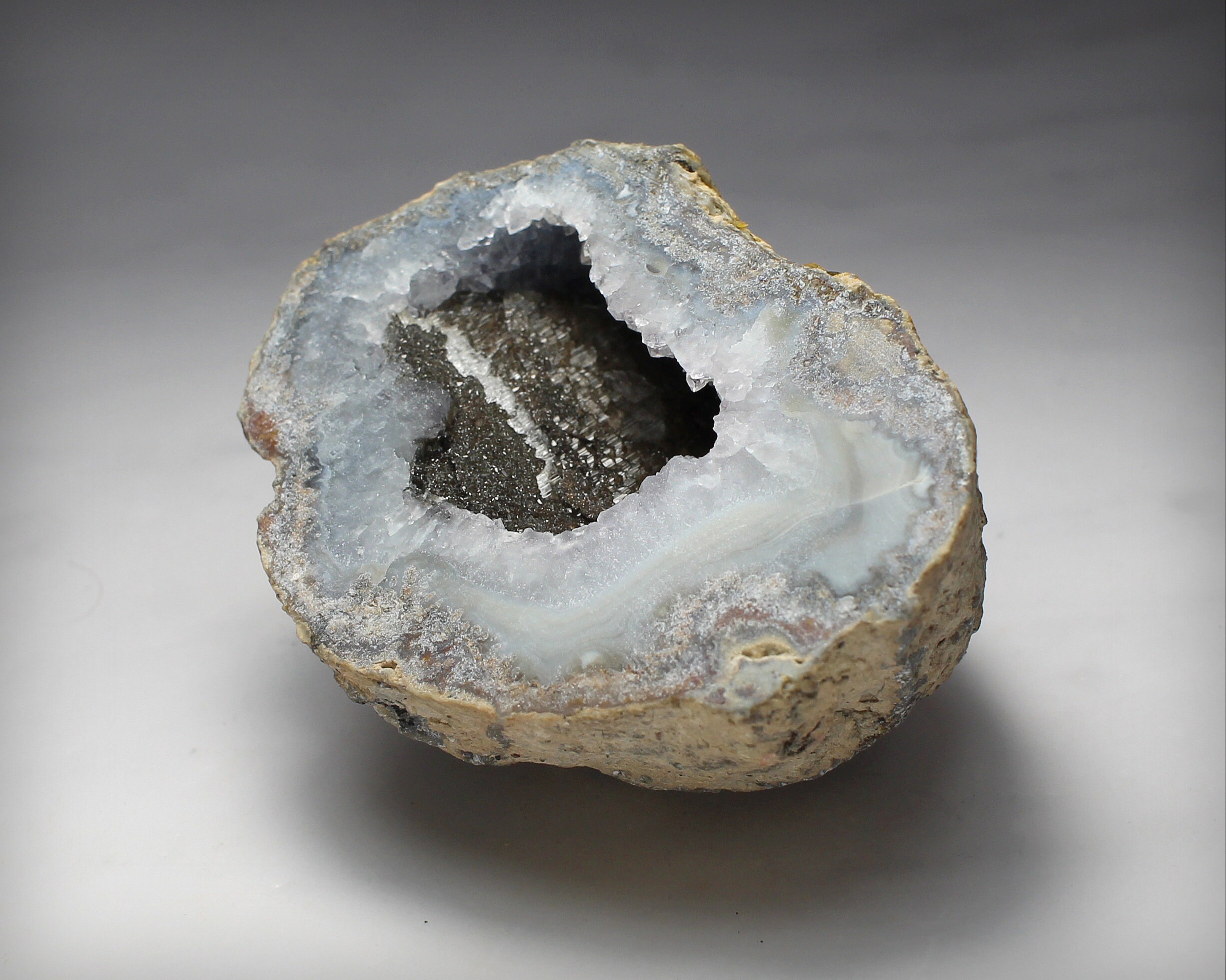 A Smaller Diamond-Sawn Coconut Geode Half with Bluish | Etsy