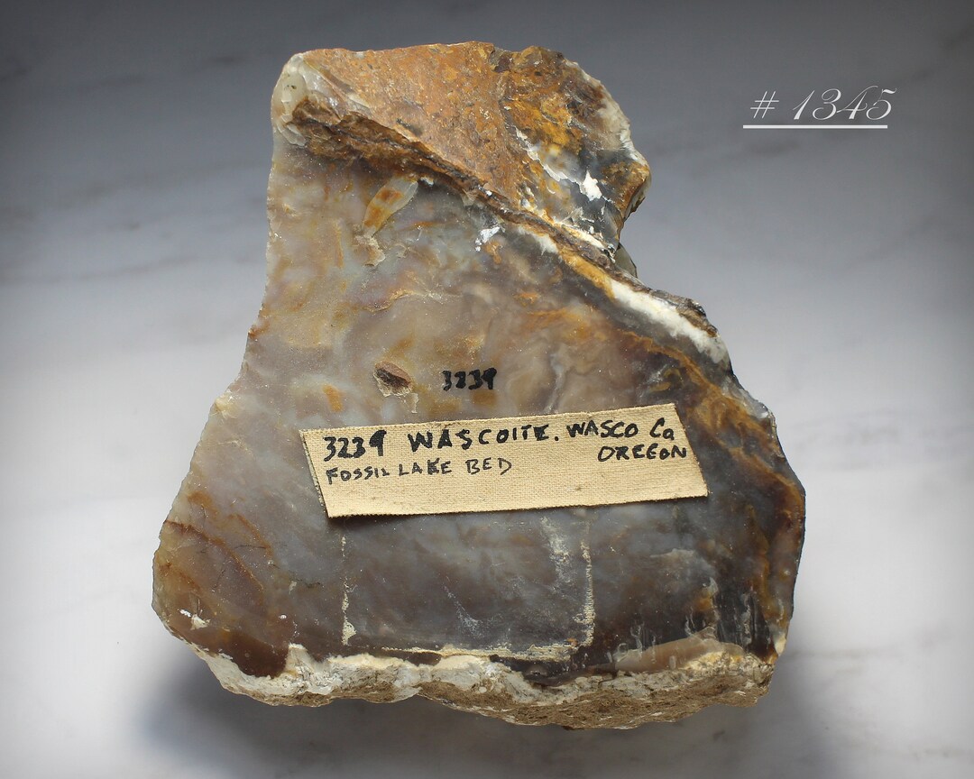 Wascoite Rare Vintage Specimen of Quartz Agate Wascoite, From Wasco ...