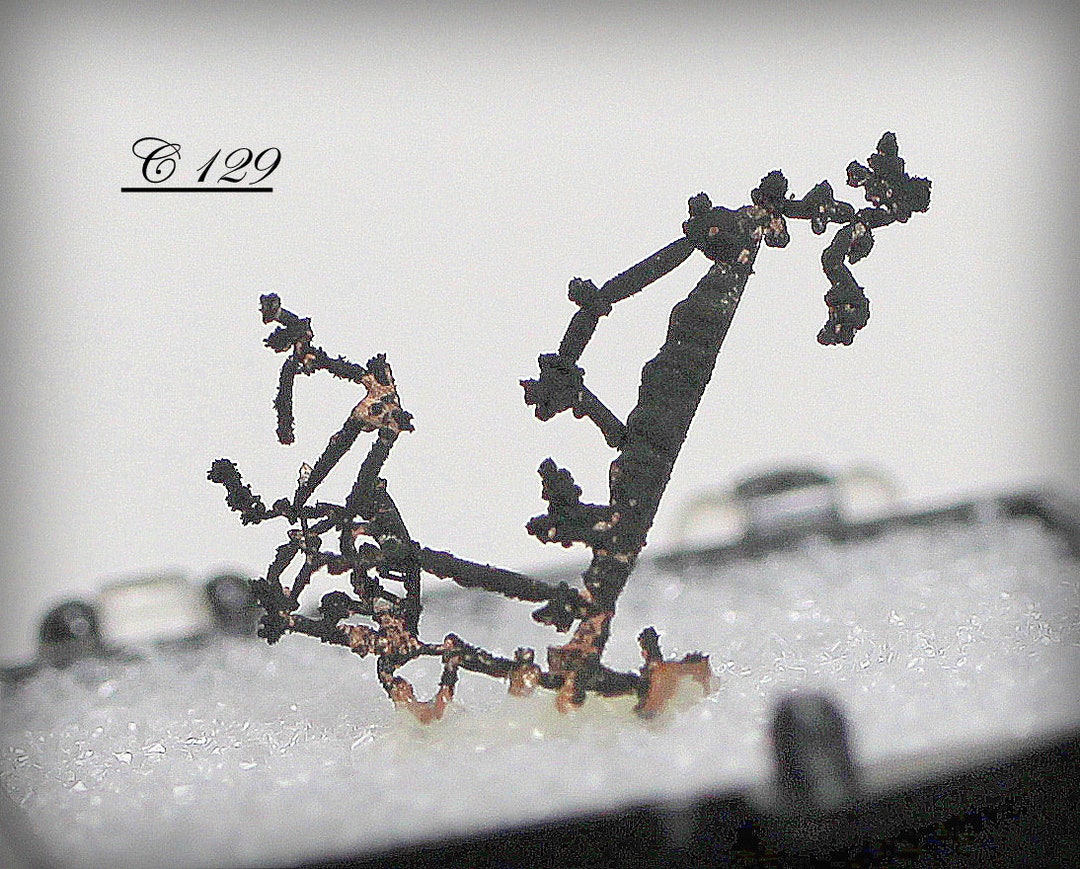 Fine Native Copper Dendrite Crystal Miniature in Perky Box From the Ray ...