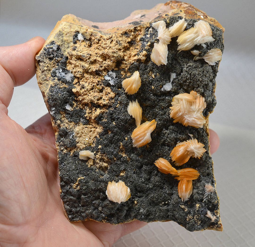 LARGE Pastel Pink/orange Barite Crystal Rosettes, With Dark Cerrusite ...