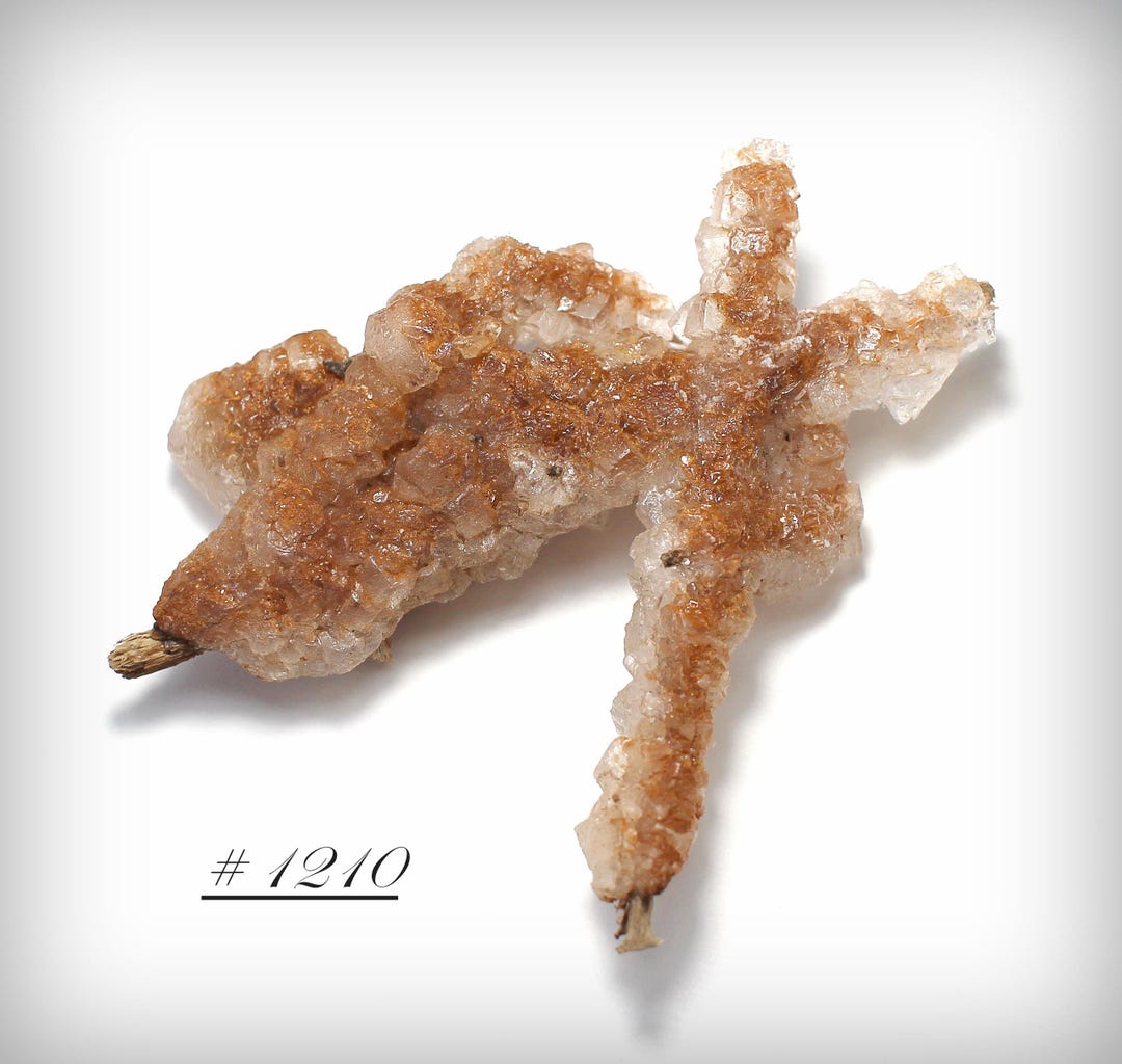 Fantastic Specimen of Halite Crystals on Plant Material, From the ...
