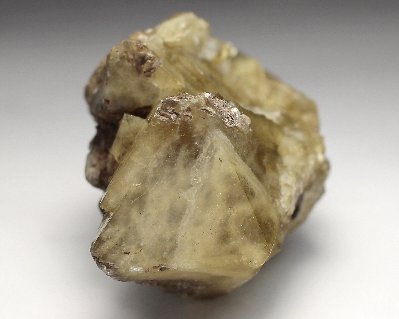 Unusual and Rare Organic Mellite Crystal Cluster From the - Etsy