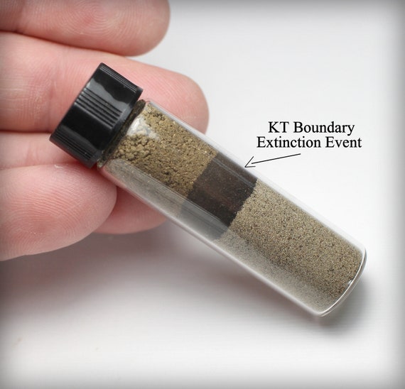 K-T Boundary KPg Boundary Marking the Extinction Event | Etsy