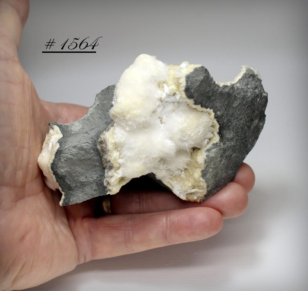 Large Fluffy White Okenite and Botryoidal Gyrolite, on Dark-gray Basalt ...