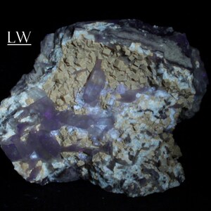 Fluorite, Celestite Specimen of Gorgeous Cubes of Fluorescent Root Beer ...