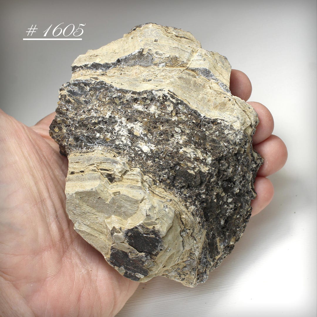 Shortite Crystals in Oil Shale Matrix, From the Westvaco Mine ...