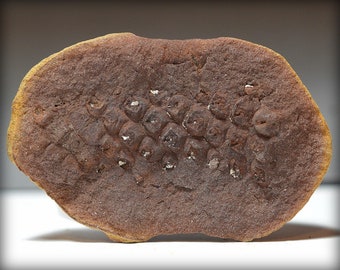 Siderite concretion | Etsy