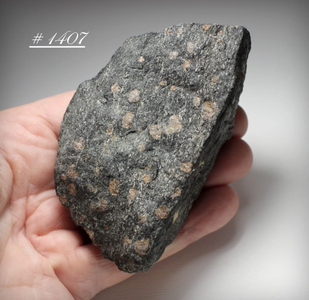 Garnets in Biotite Schist Specimen, From the Little Pine Garnet Mine ...