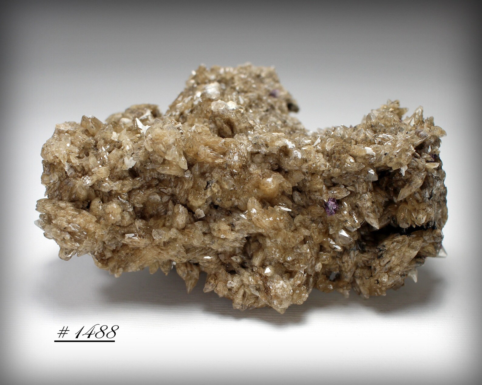 Southern Illinois Calcite Bountiful Calcite Scalenohedra - Etsy