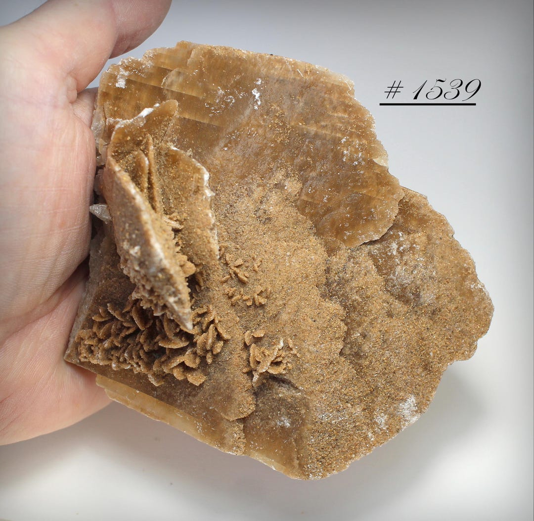 Large Desert Rose Selenite Gypsum Crystal Fan, From Tunisia - Etsy
