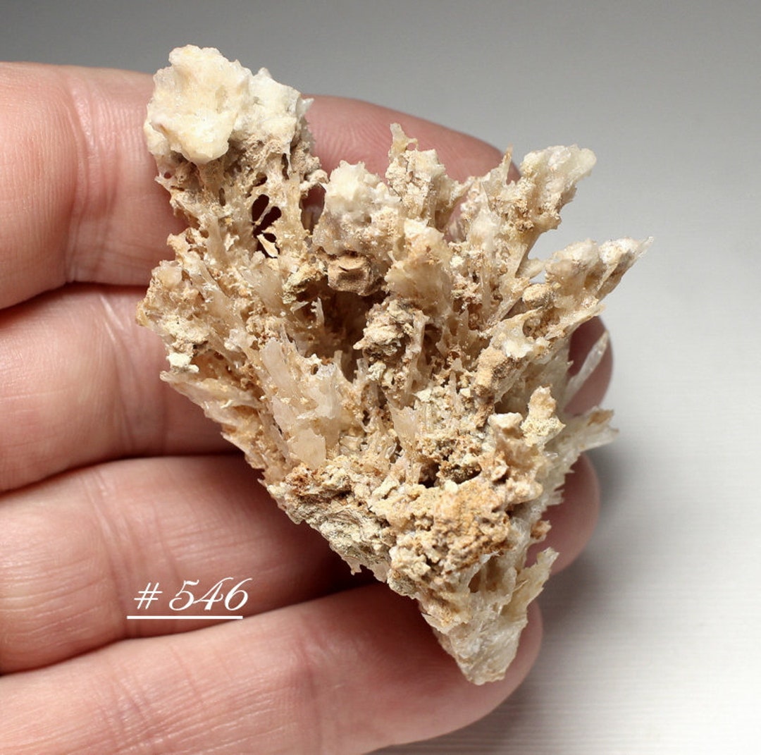 Awesome Branching Aragonite Crystal Cluster, Organ Mining District ...