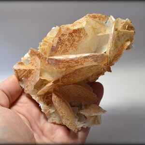 Unique and Unusual, Large Bladed, Very Aesthetic, Fluorescent pink ...