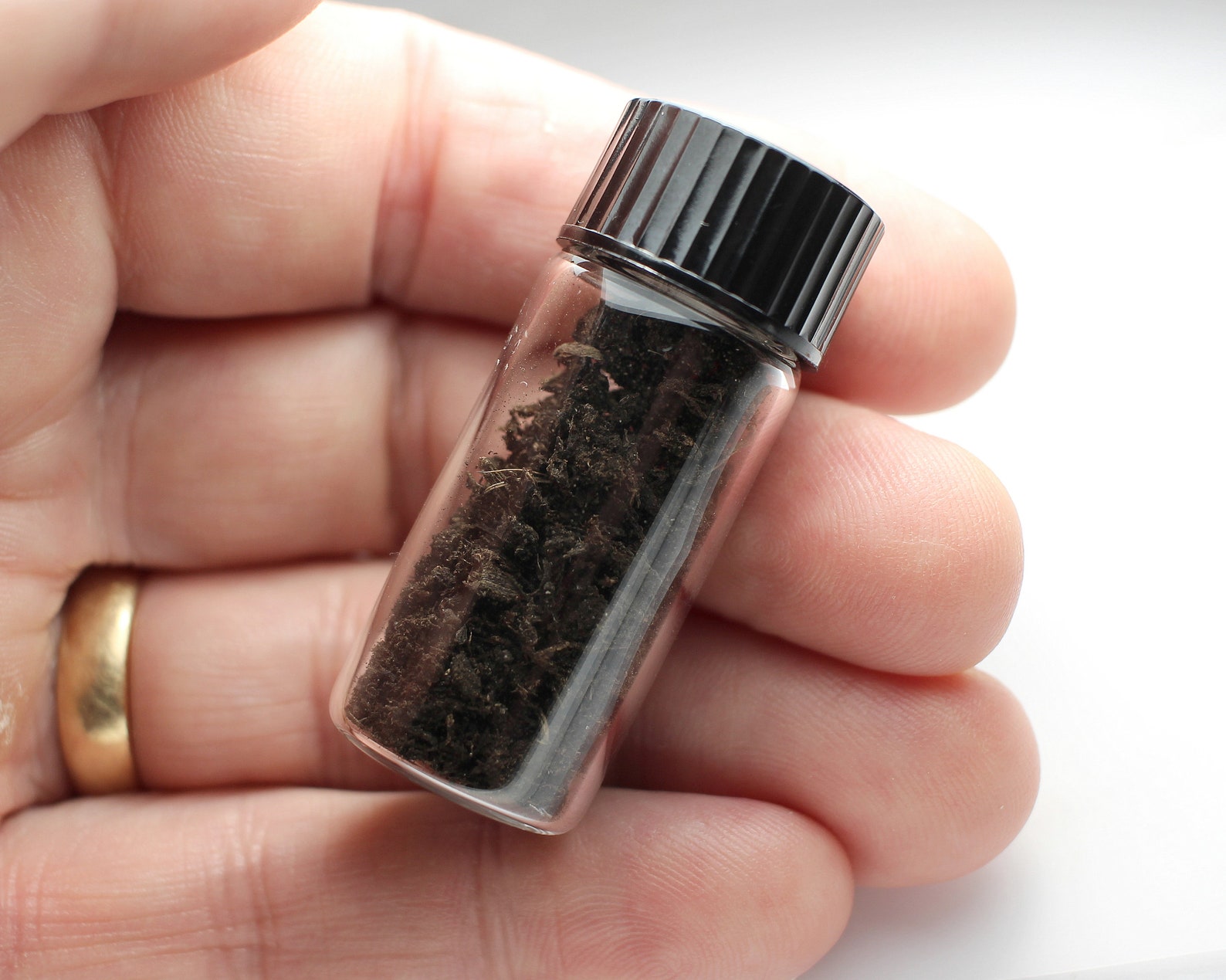 Glass Vial of Organic Peat Coring Sample from the Illinois | Etsy