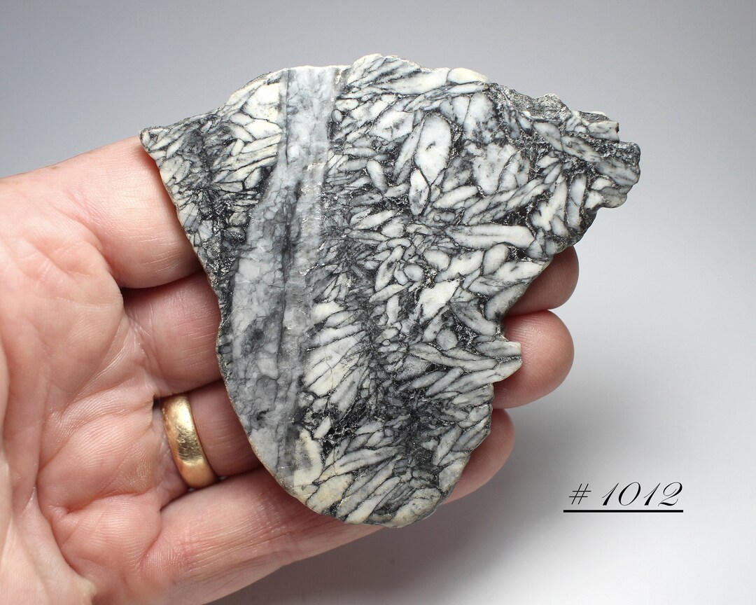 Polished Pinolite pinolith Stone Slice or Slab From Austria - Etsy