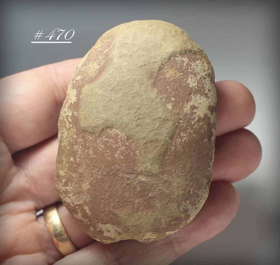 Mazon Creek Nodule Unopened Siderite Nodule From Mazon Creek Fossil ...