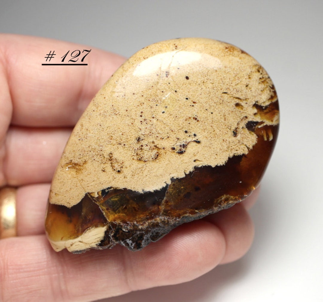 Polished Milk & Honey Amber Polished Amber From Sumatra Rare Form of ...