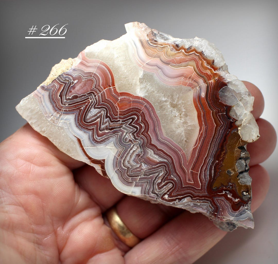 Gorgeous Large Face Polished Crazy Lace Agate End Cut Specimen, From ...