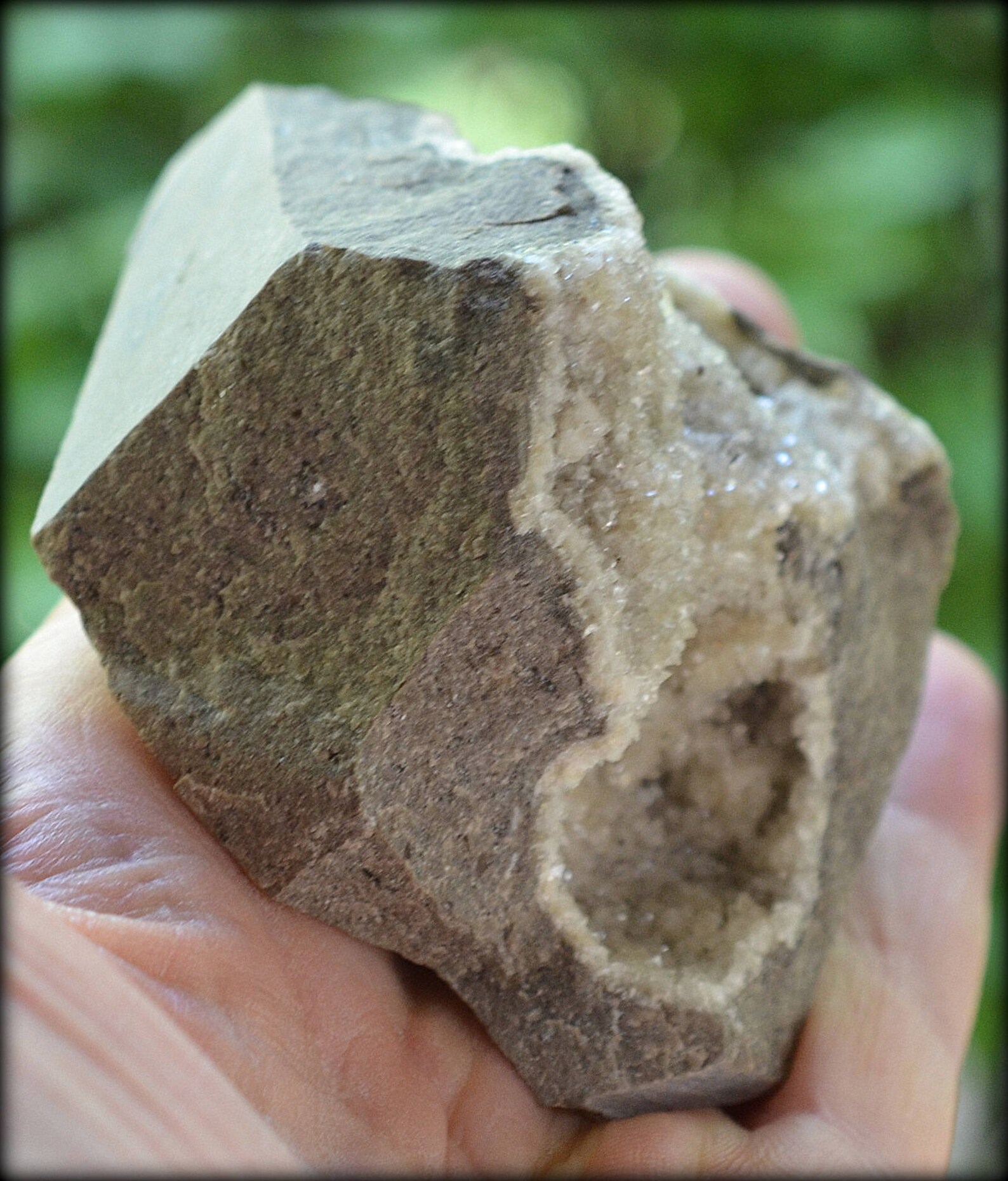 Large Calcite Lined Crystalline Pockets in Gray-tan Limestone | Etsy