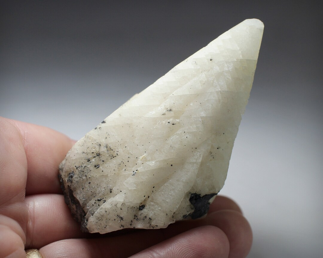 Calcite Crystal - Large Single Calcite Scalenohedra, With Galena, From ...