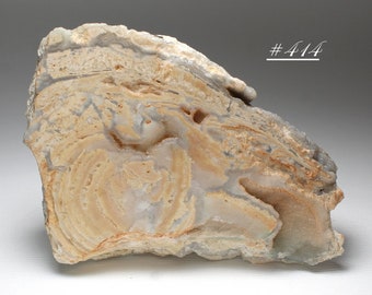 YOUNGITE Large, Beautiful, Fluorescent Youngite Agate From Wyoming With ...