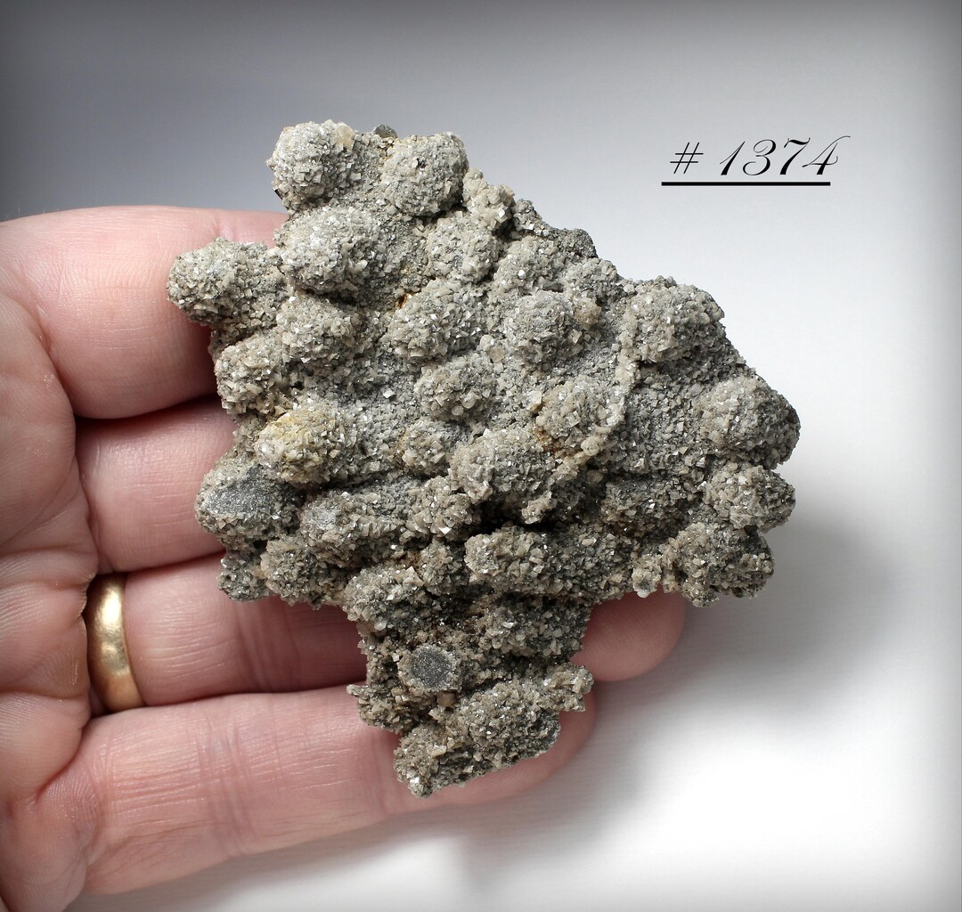 Large Fascinating Colonial Coral Specimen, Natural Cast of Dolomite ...