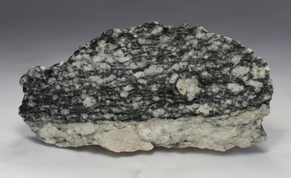 Diorite Gneiss