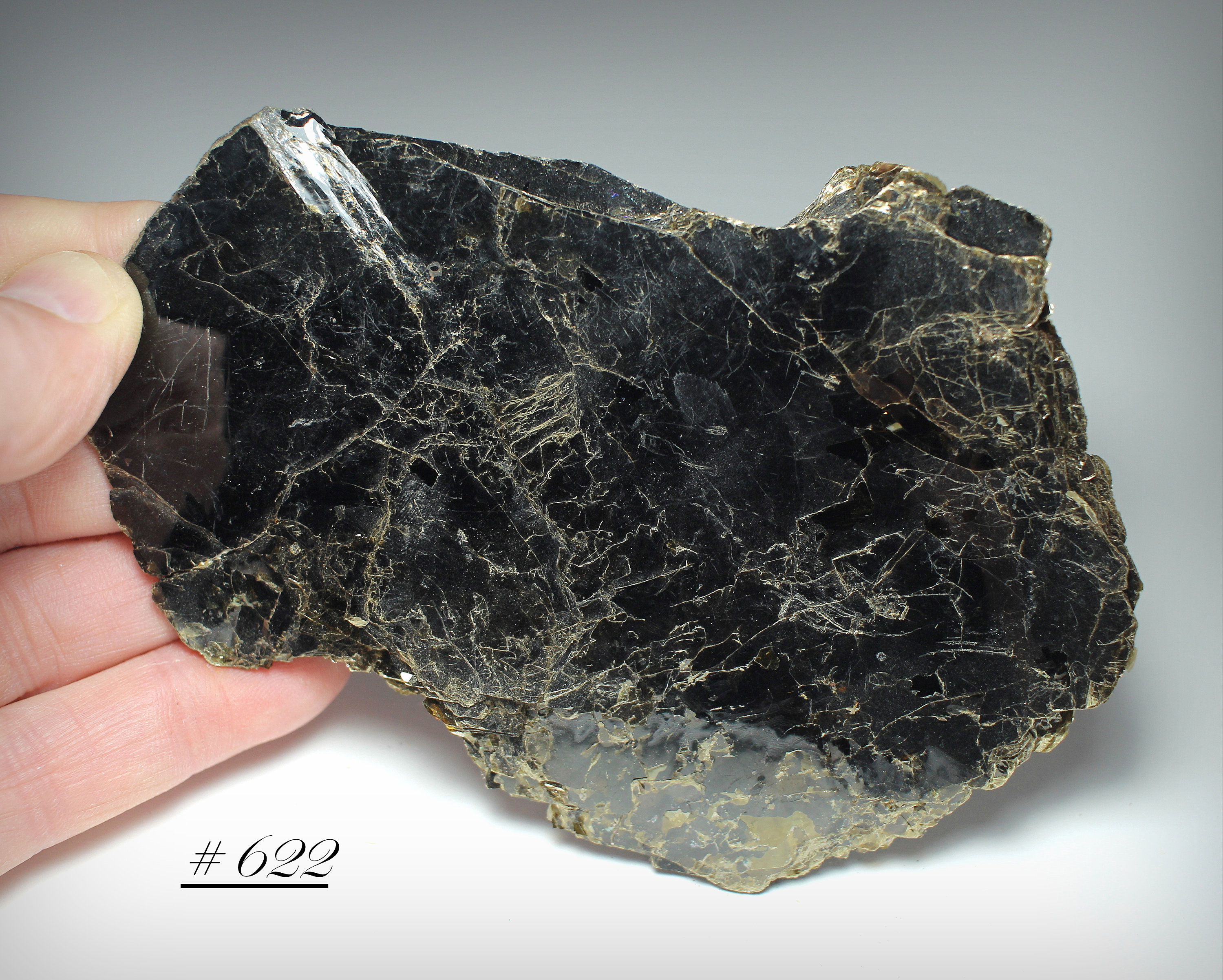 Biotite Mineral