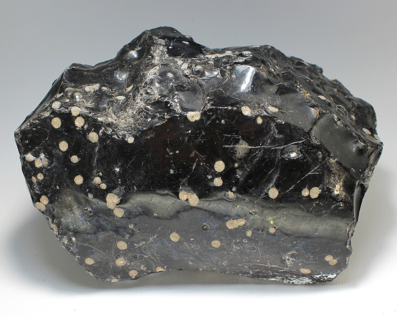 Large Snowflake Obsidian Raw Glassy Cobble of Aphanitic Lava - Etsy