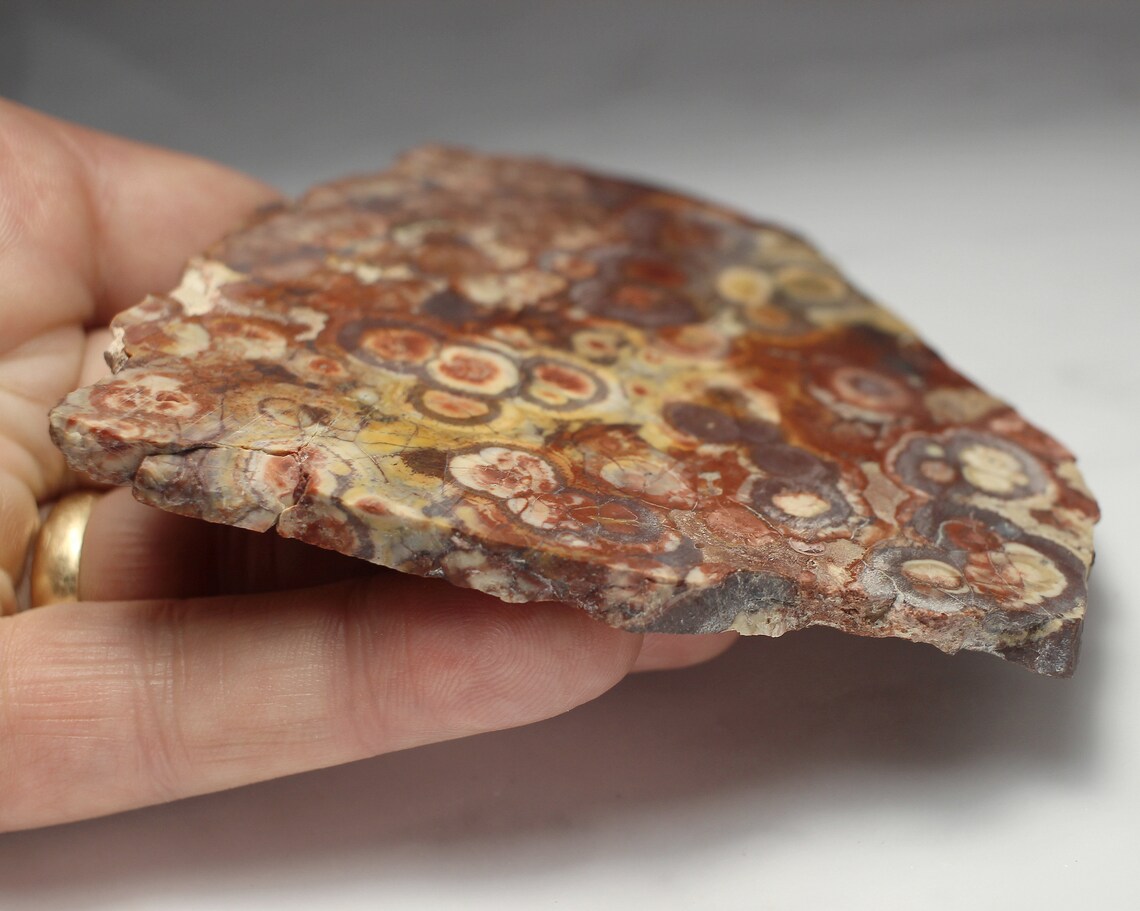 Birdseye Rhyolite Jasper Slab Unpolished Birdseye Rhyolite | Etsy