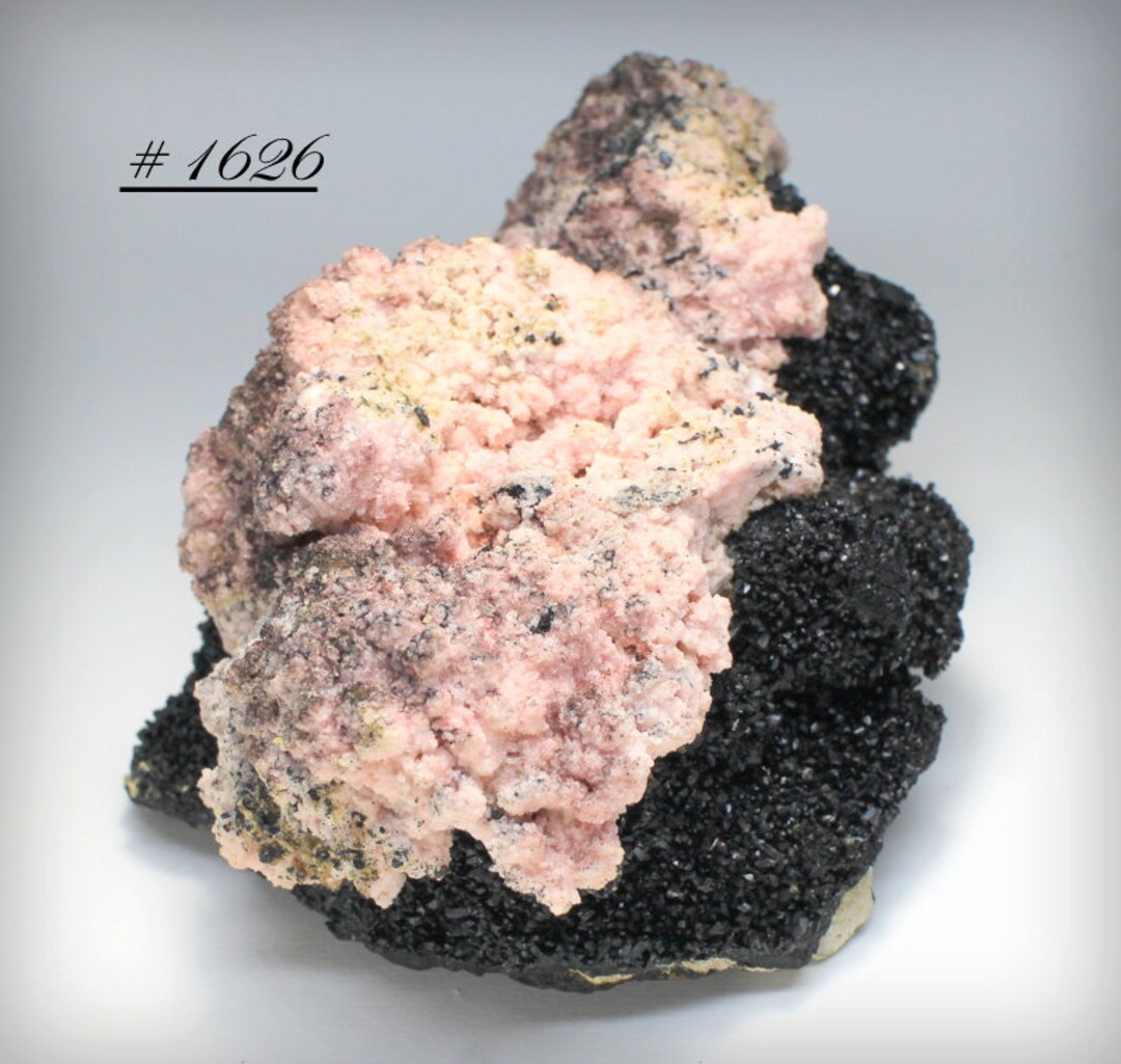 Large Botryoidal Rhodochrosite on Black Ilvaite Crystals, From Level 5 ...