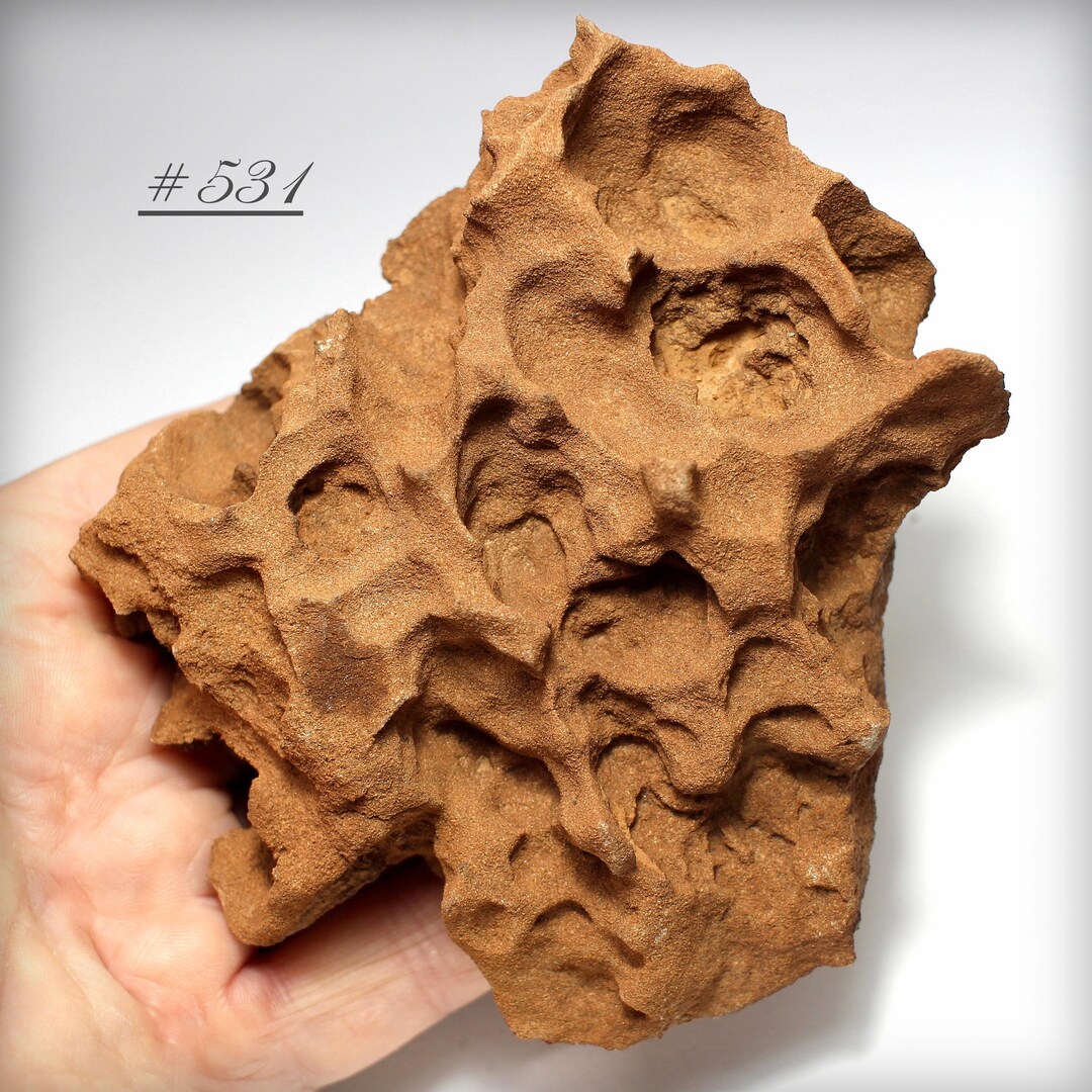 Tafoni - Remarkable Red Sandstone With Rare Naturally Sculpted Tafoni ...