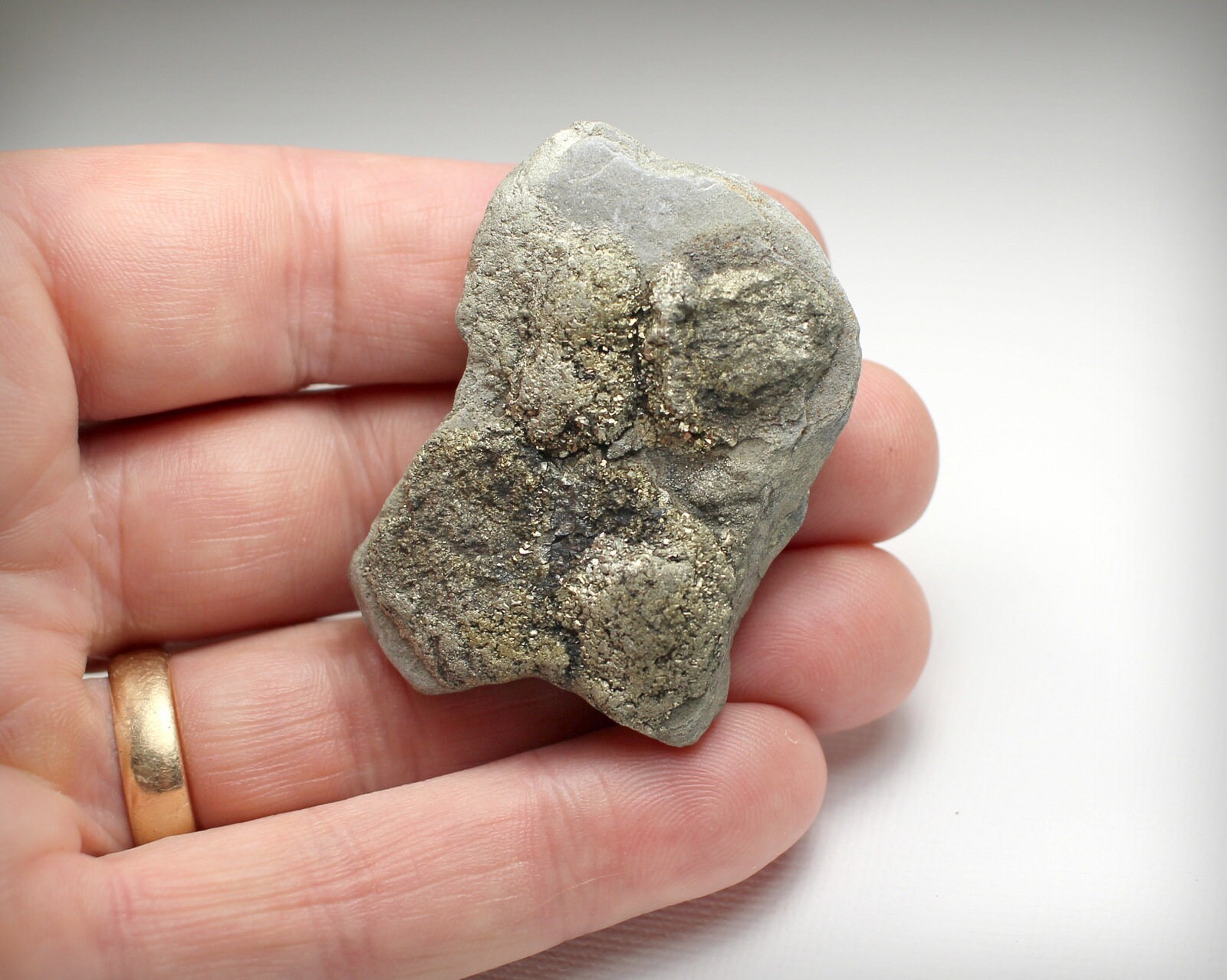 Pyrite Nodules on Pyrite Matrix Illinois glacial Erratic - Etsy