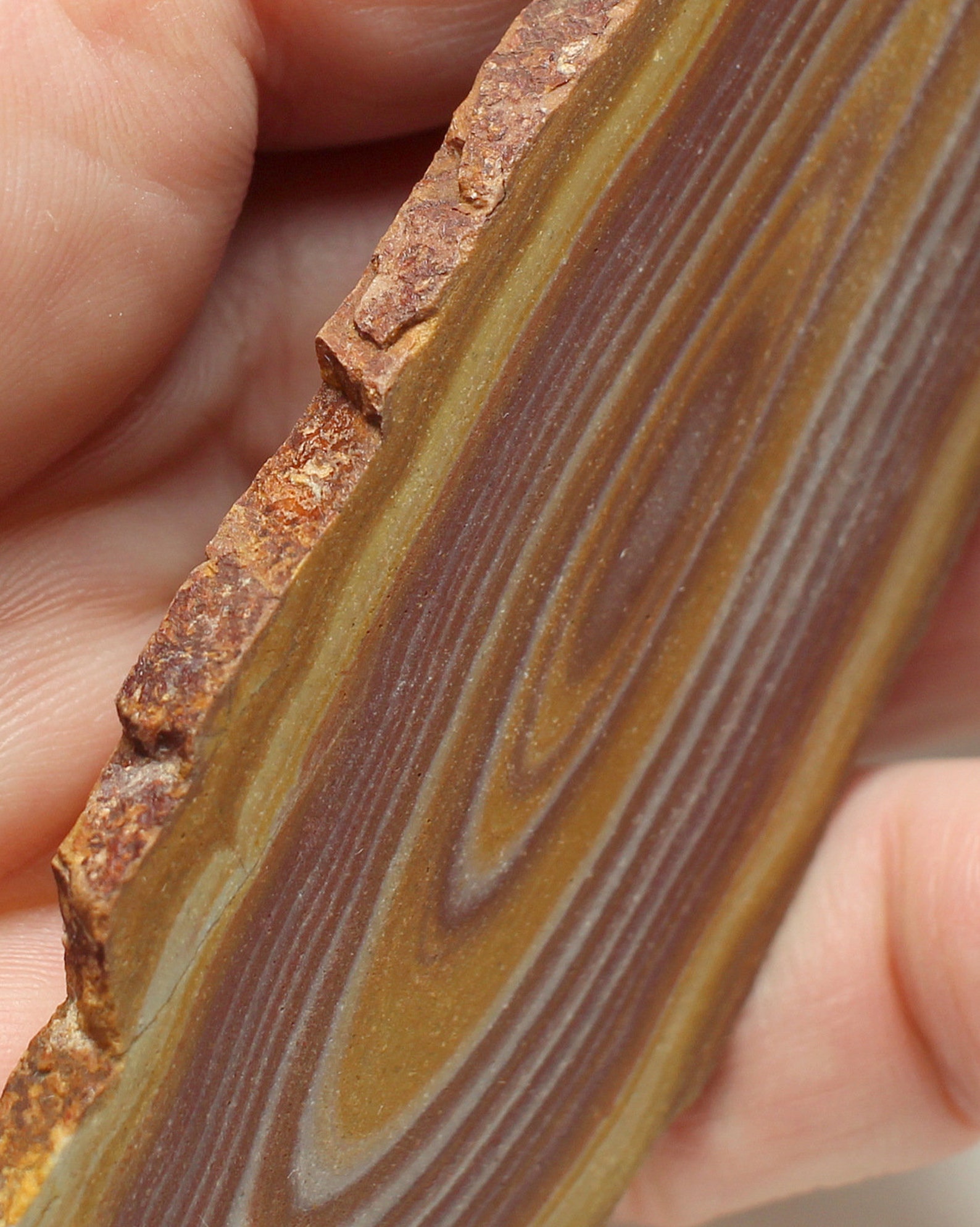 HICKORYITE Rhyolite 'wonder-stone' Agate Slice - Etsy