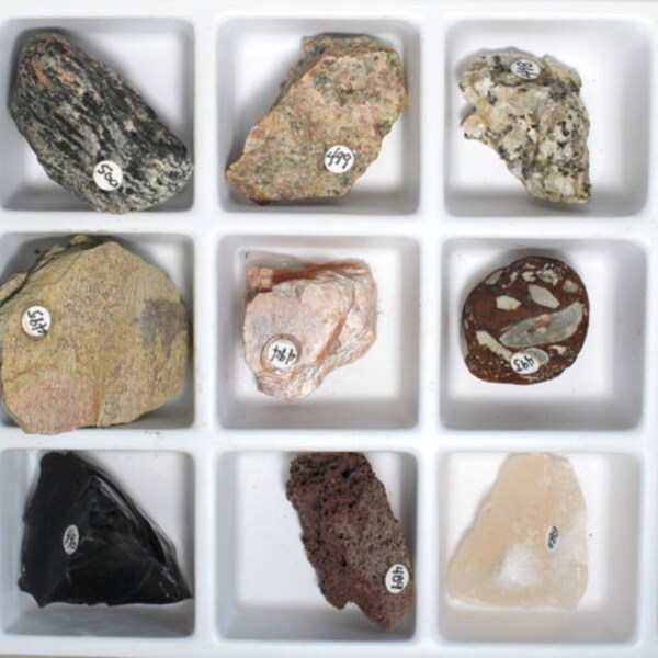 Rock Collection Display Cabinet - Etsy