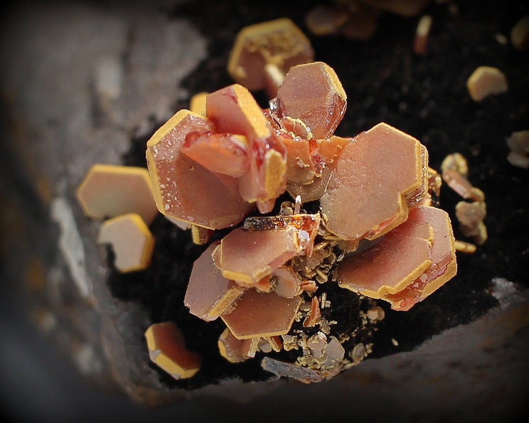 Vanadinite Super-fine, Bright, Colorful, Lustrous Vanadinite Crystals, on Black Psilomelane and ...