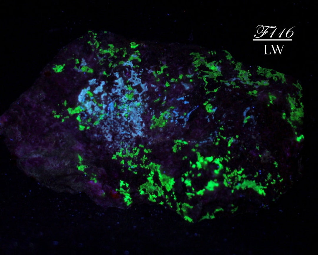 Fluorescent Scheelite With Garnet and Minor Biotite Mica - Vintage ...