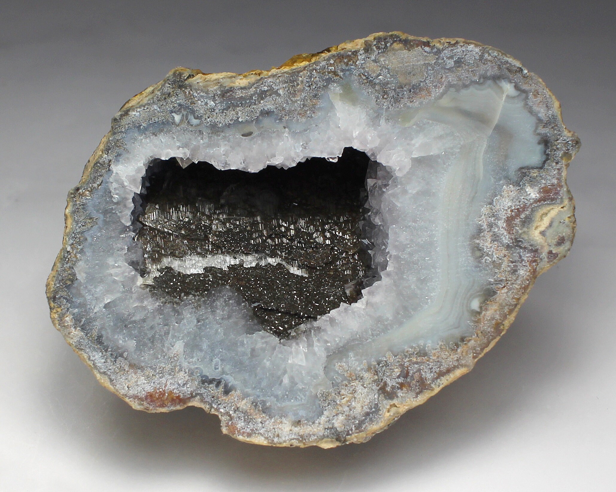 A Smaller Diamond-Sawn Coconut Geode Half with Bluish | Etsy