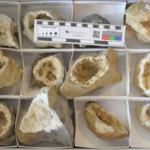 Wholesale Flat of Large Fluorescent Kentucky Calcite-lined Geode Halves ...