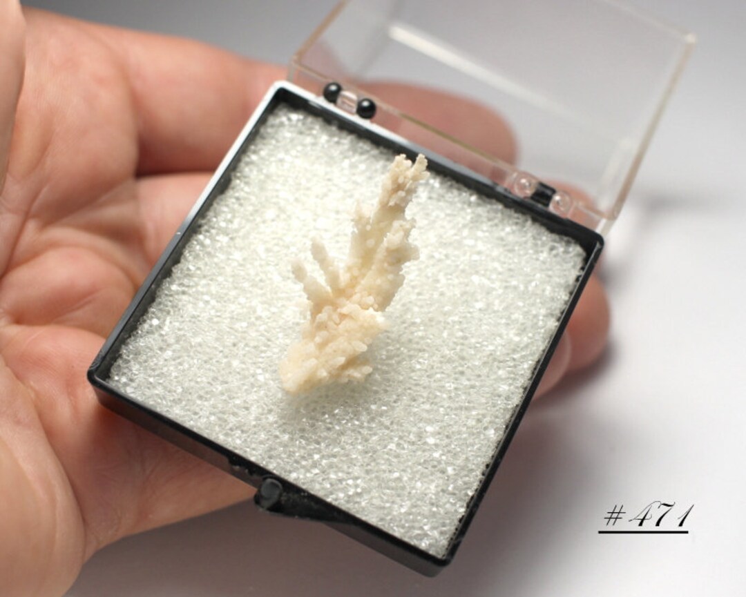 A Perfect, Stunning, White Aragonite Miniature Crystal Cluster in Perky ...