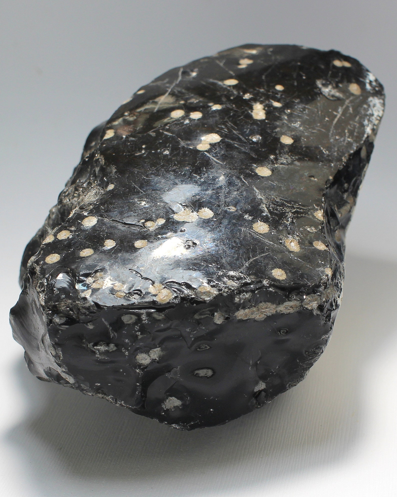 Large Snowflake Obsidian Raw Glassy Cobble of Aphanitic Lava - Etsy