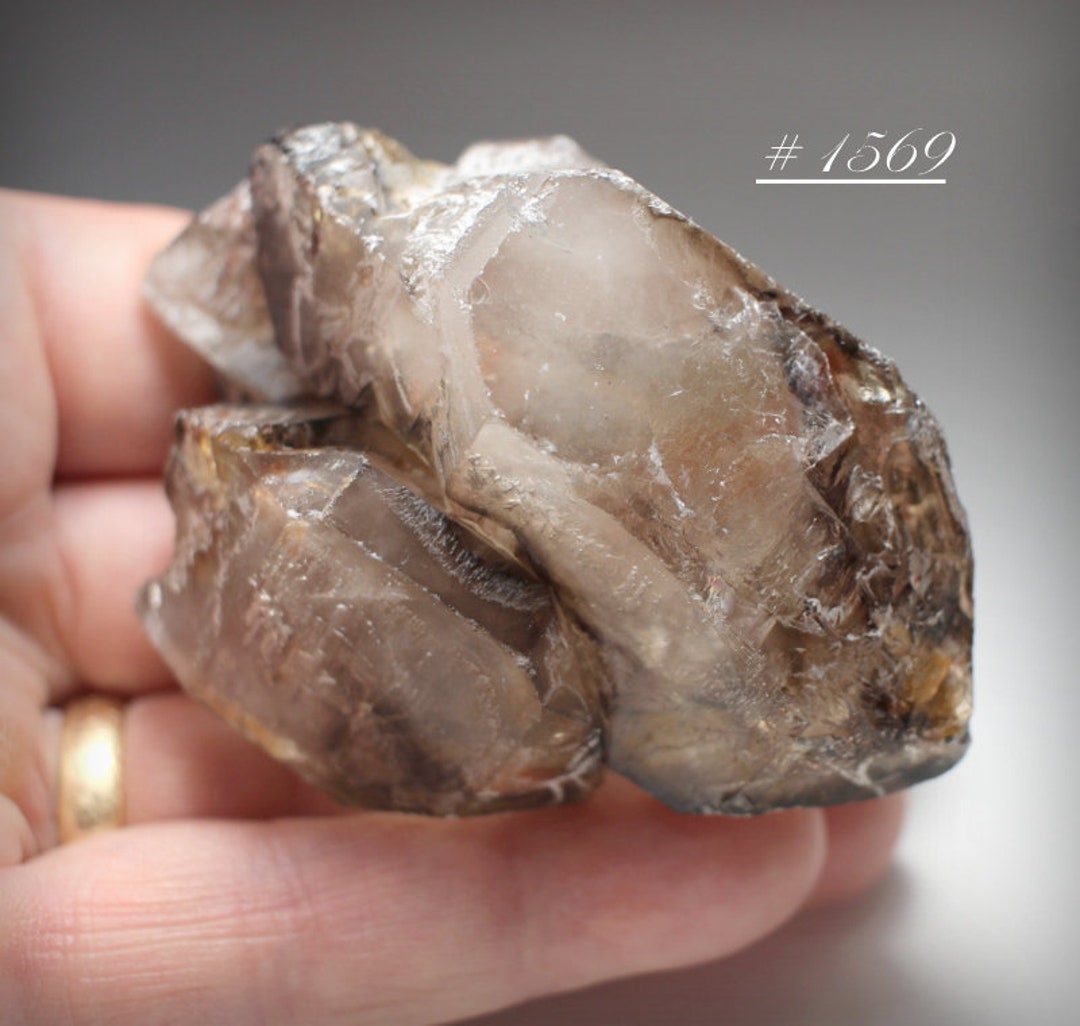 Smoky Clear Elestial Jacaré Alligator Quartz Crystal From - Etsy