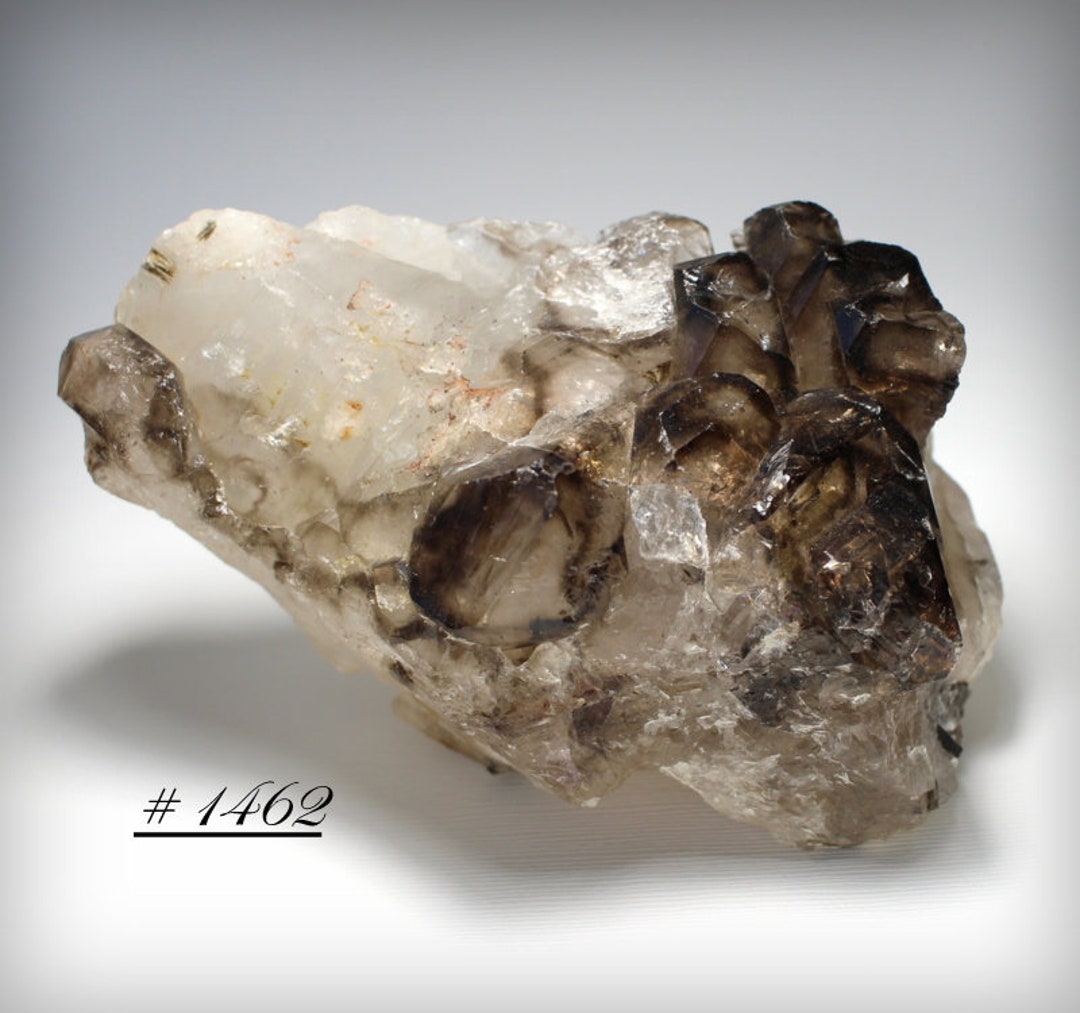 Large Smoky Elestial Jacaré Alligator Quartz Crystal, From Minas Gerais ...