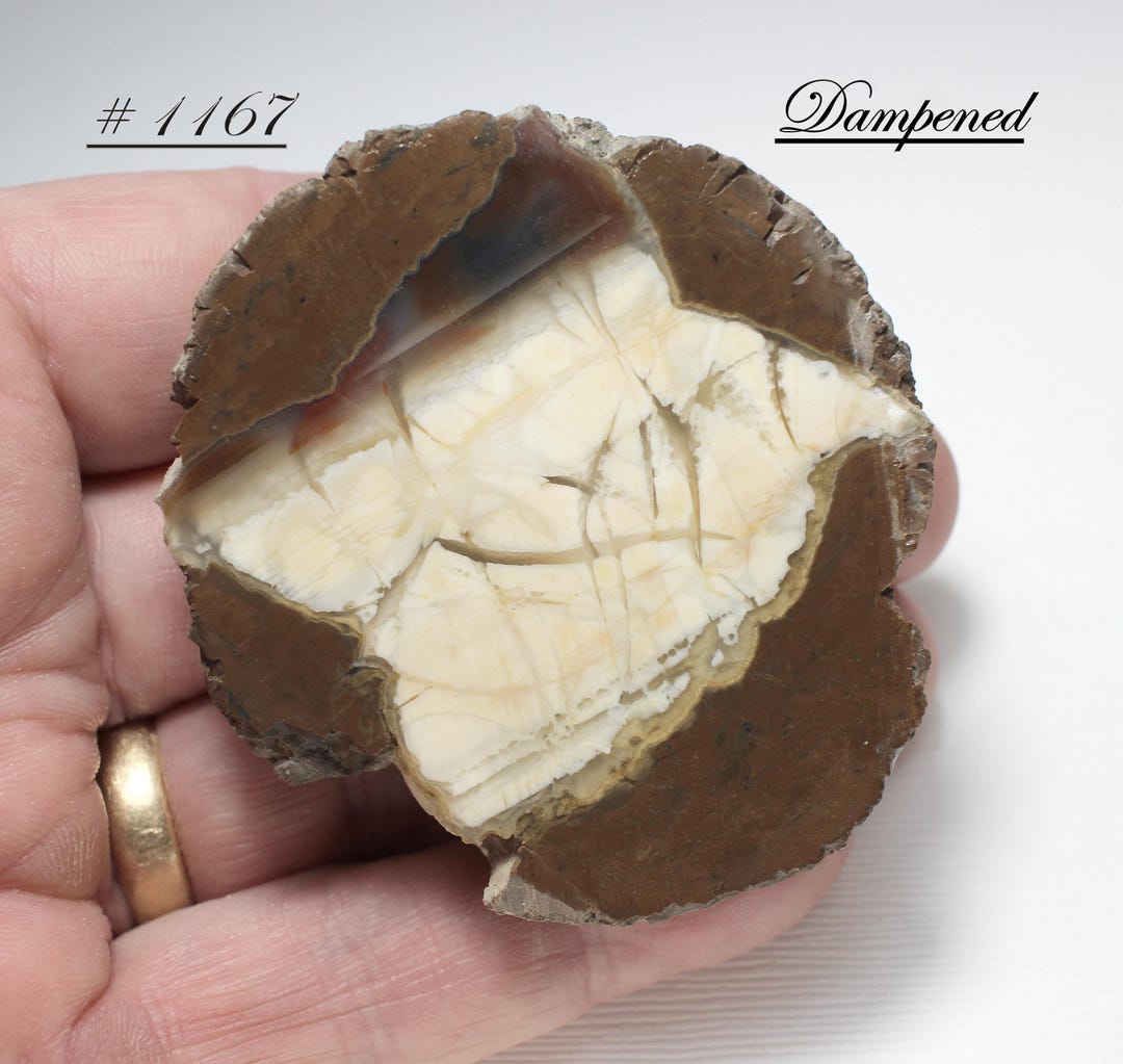 Dugway Geode (nodule) - Unpolished Nodule Half, of Rhyolite and Quartz ...